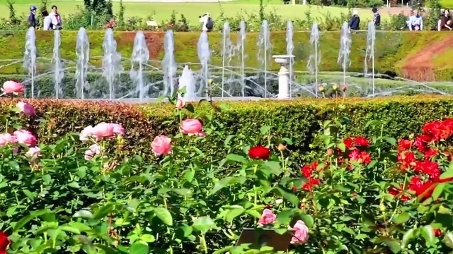 Jindai Botanical Park - Coub