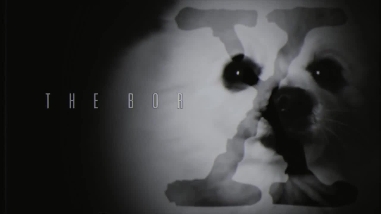 The Bork Files - Coub