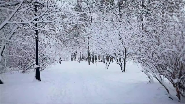 Winter Saint-Petersburg - Coub
