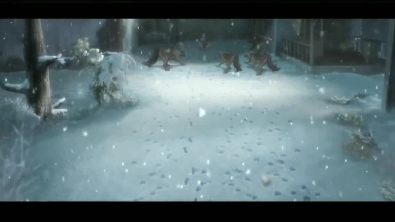 Why are you afraid of dogs... - Coub