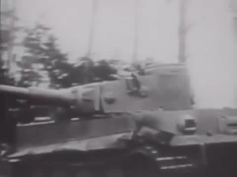 Tiger Ultimate - Coub