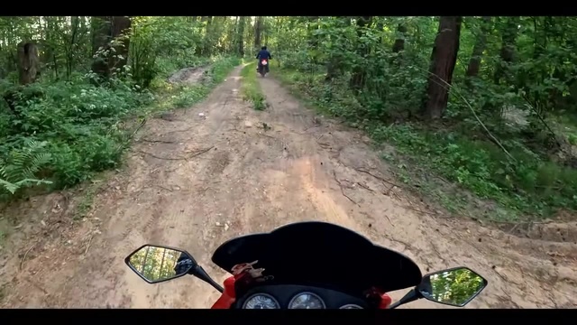 on motorcycles through the forest - Coub