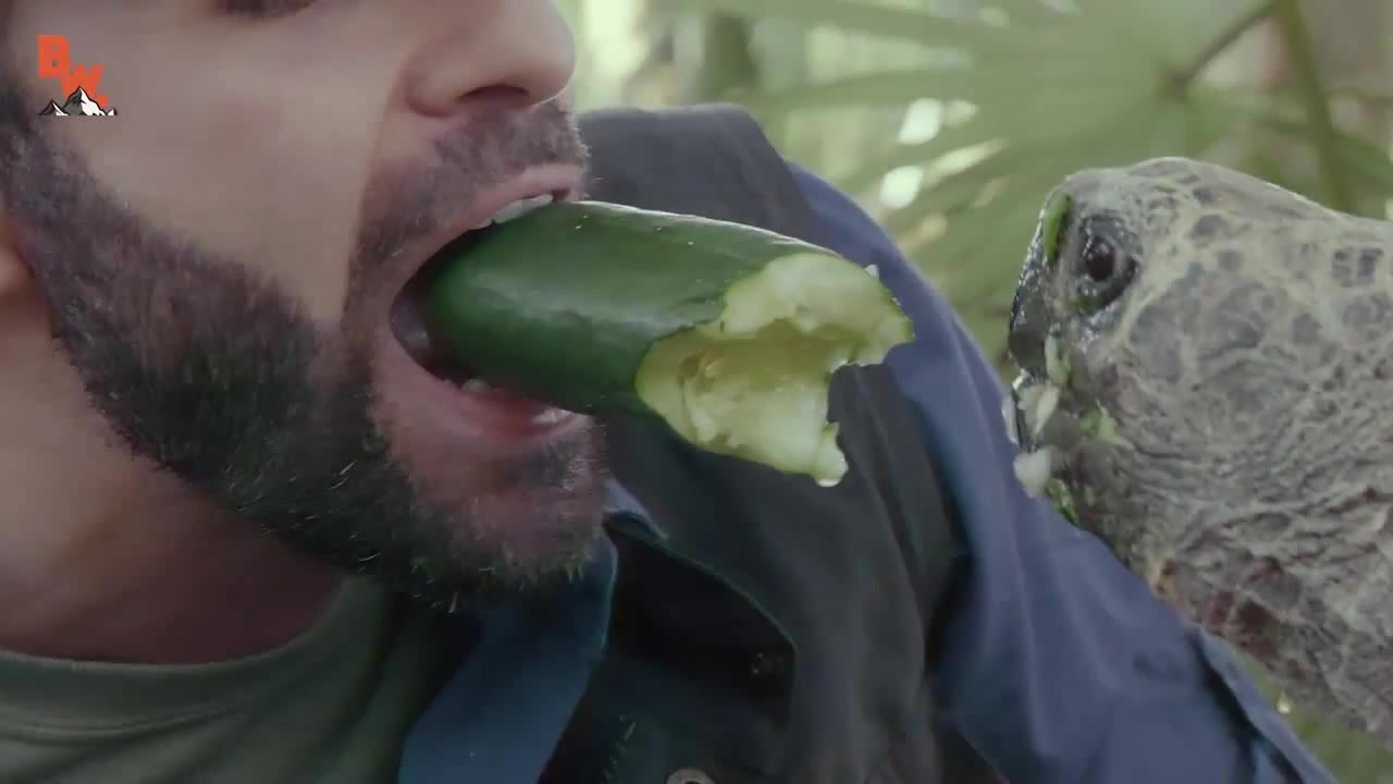 Feeding the BFT! - Coub