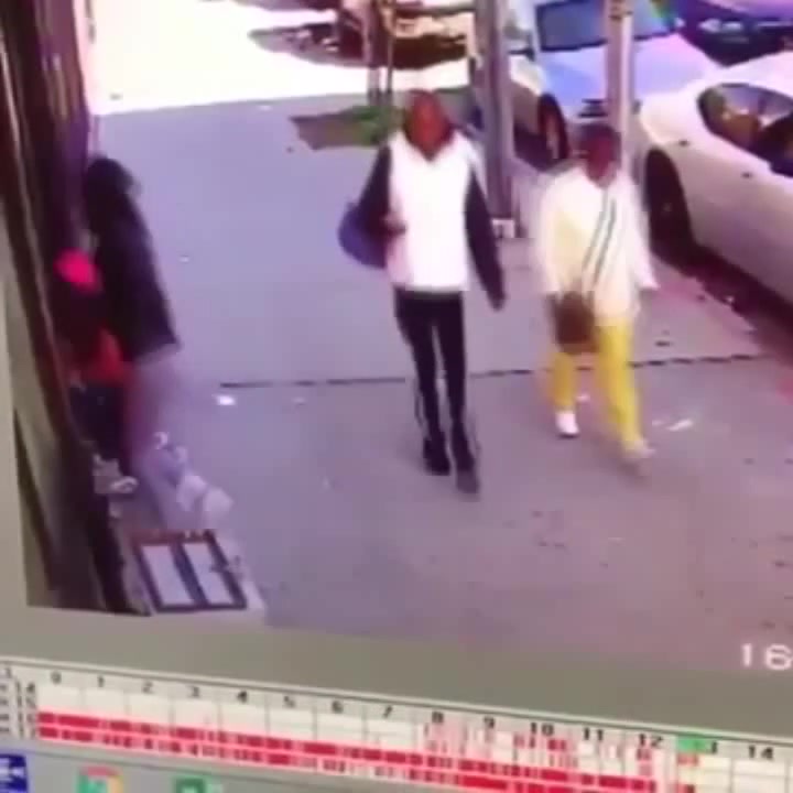 U Can't touch this doge - Coub