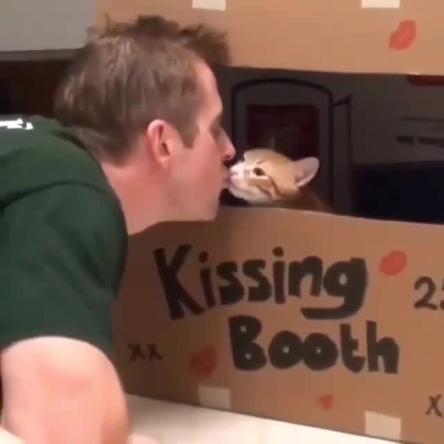 Kissing booth - Coub - The Biggest Video Meme Platform