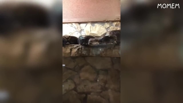 Ну и е**нько... - Coub - The Biggest Video Meme Platform