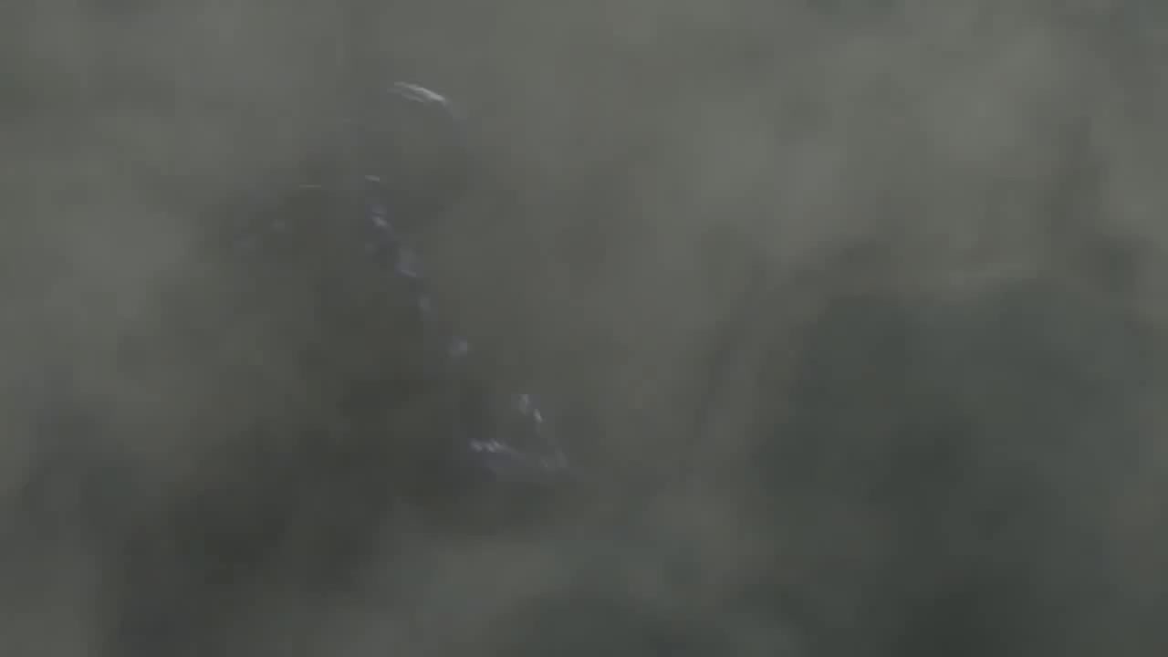 For Honor X-Rays damage - Coub - The Biggest Video Meme Platform