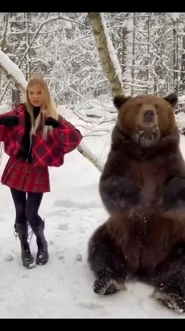 Russian bear - Coub