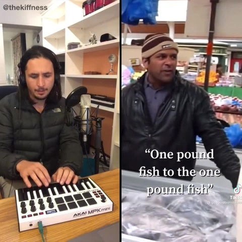The Kiffness X One Pound Fish Man - £1 Fish (Live Looping Remix) - Coub ...