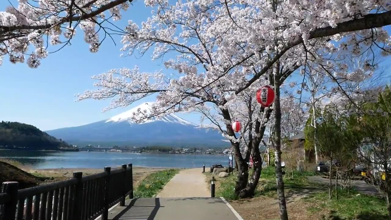 MOUNT FUJI - Coub - The Biggest Video Meme Platform