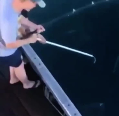 love me some fishing - Coub