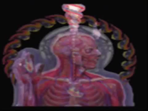 Tool - Lateralus - Coub - The Biggest Video Meme Platform