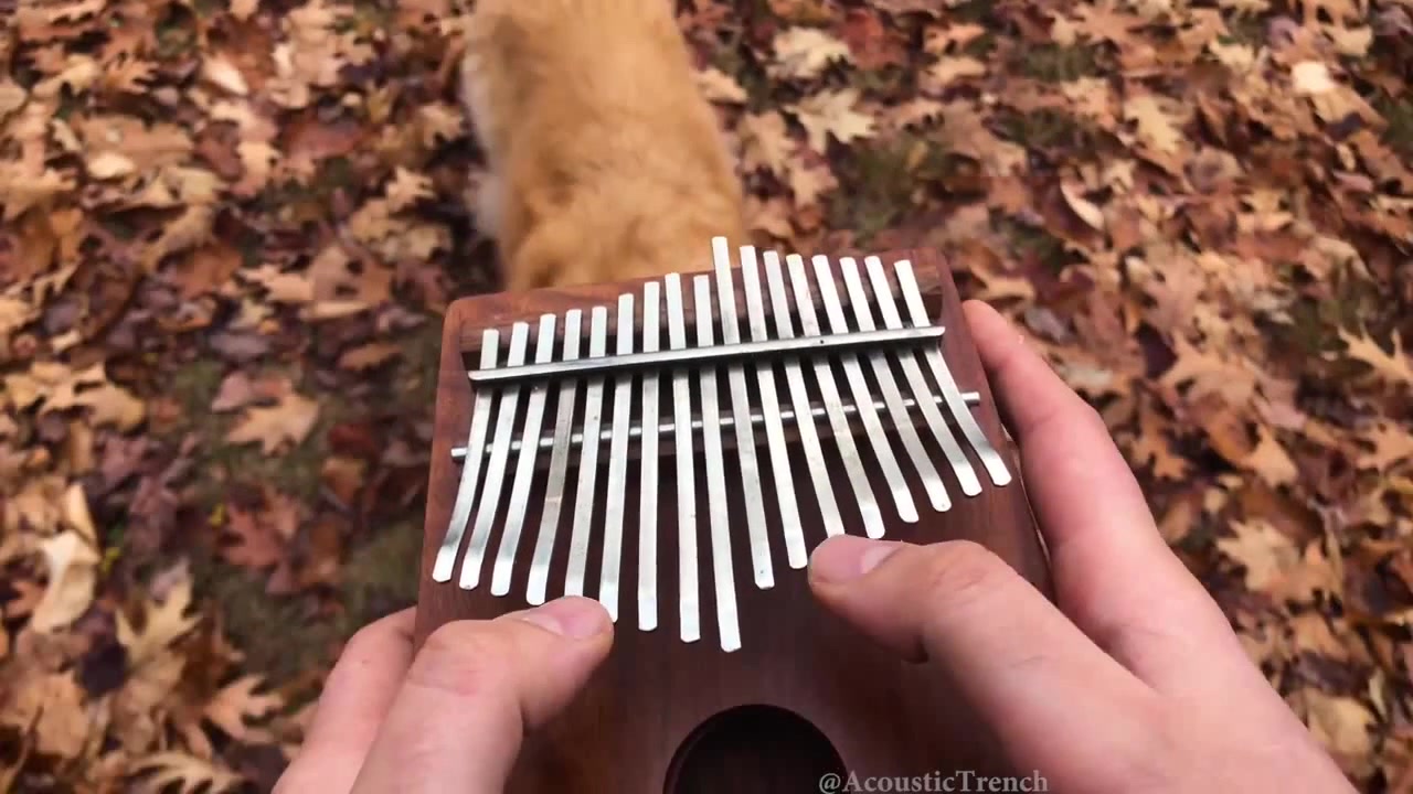 All The Small Things by blink-182 on a Kalimba - Coub - The Biggest ...