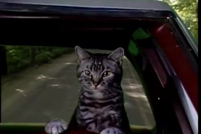 Be happy on the road.... - Coub