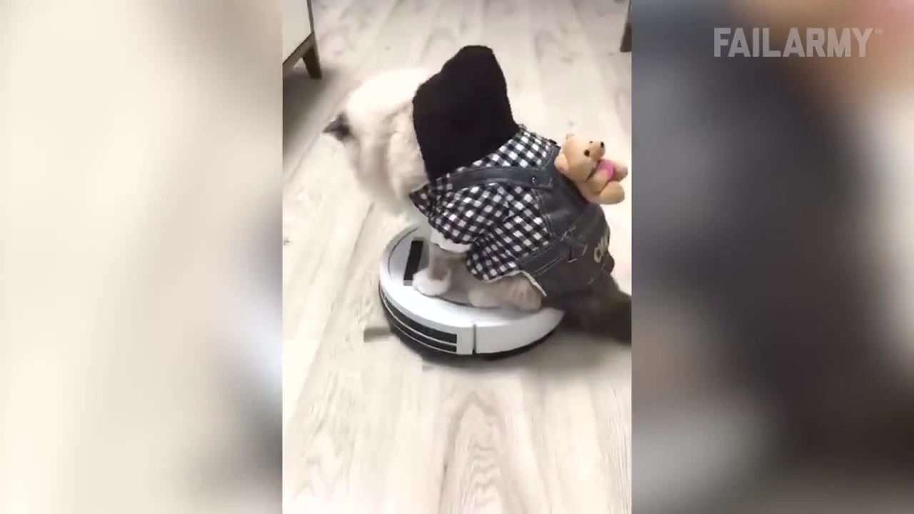 Epic fails - Coub - The Biggest Video Meme Platform