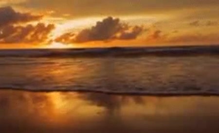 Golden Sunset - Coub