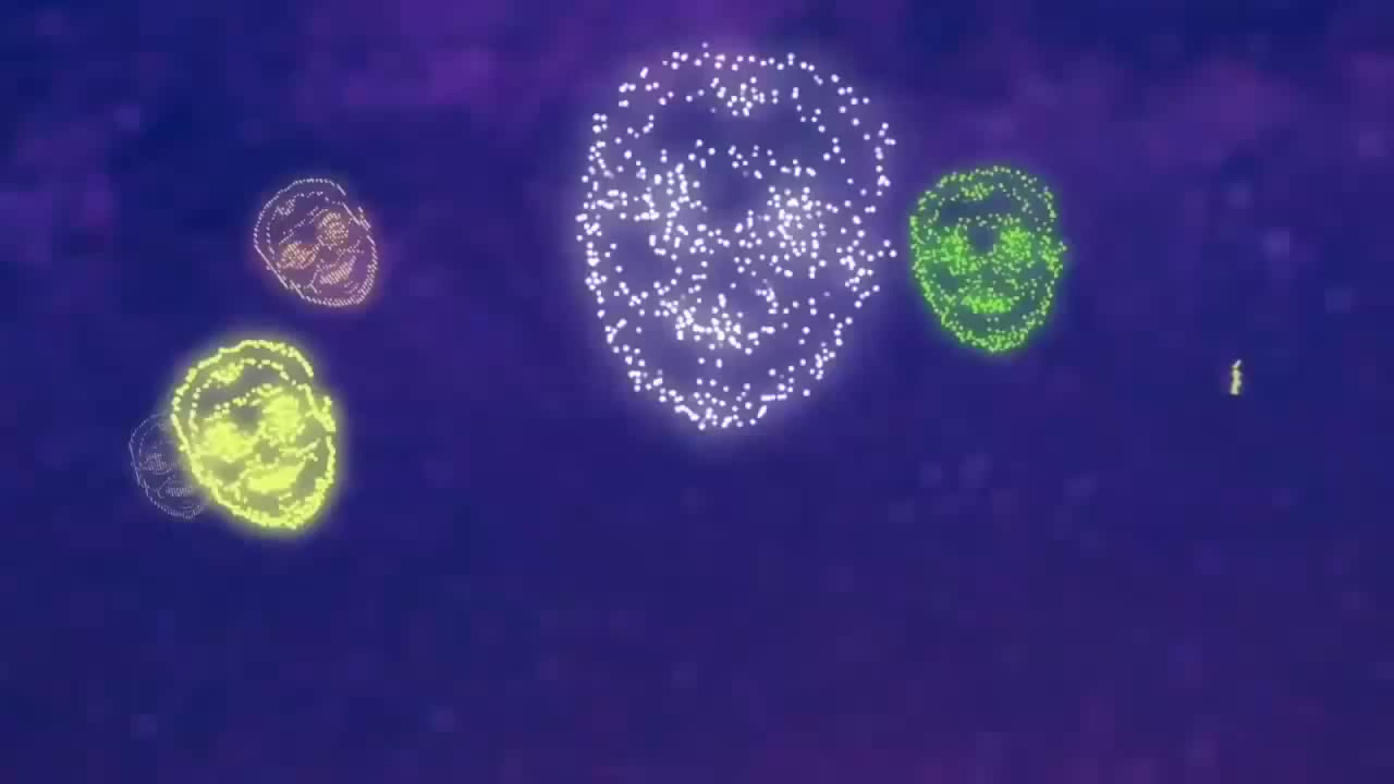 MOUSE FAN CLUB - Coub