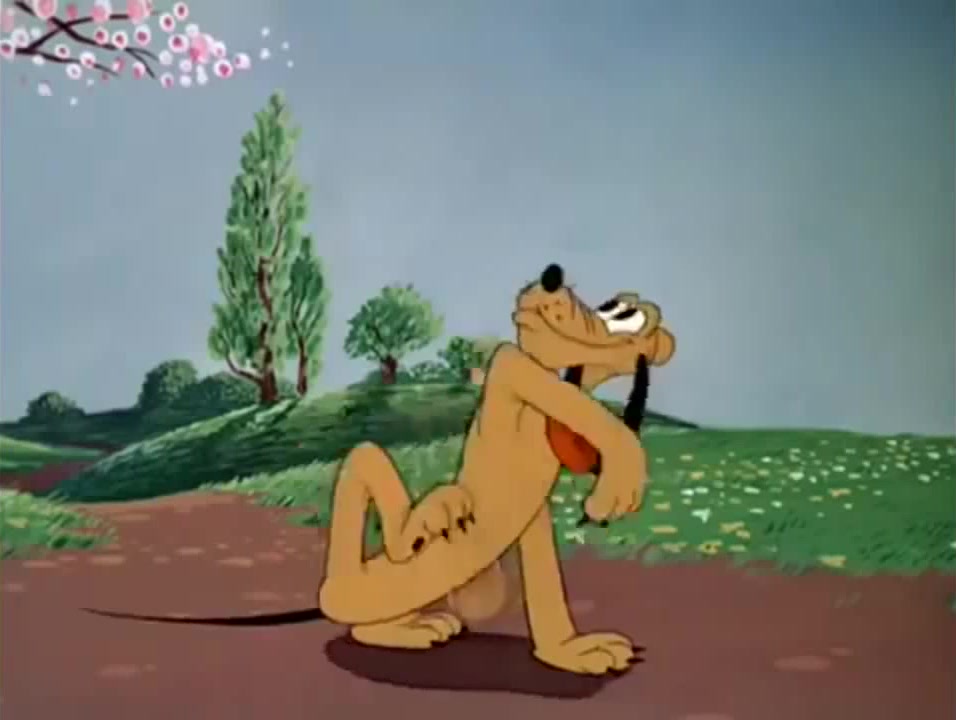 Pluto was scratching to look around the spring day - Coub