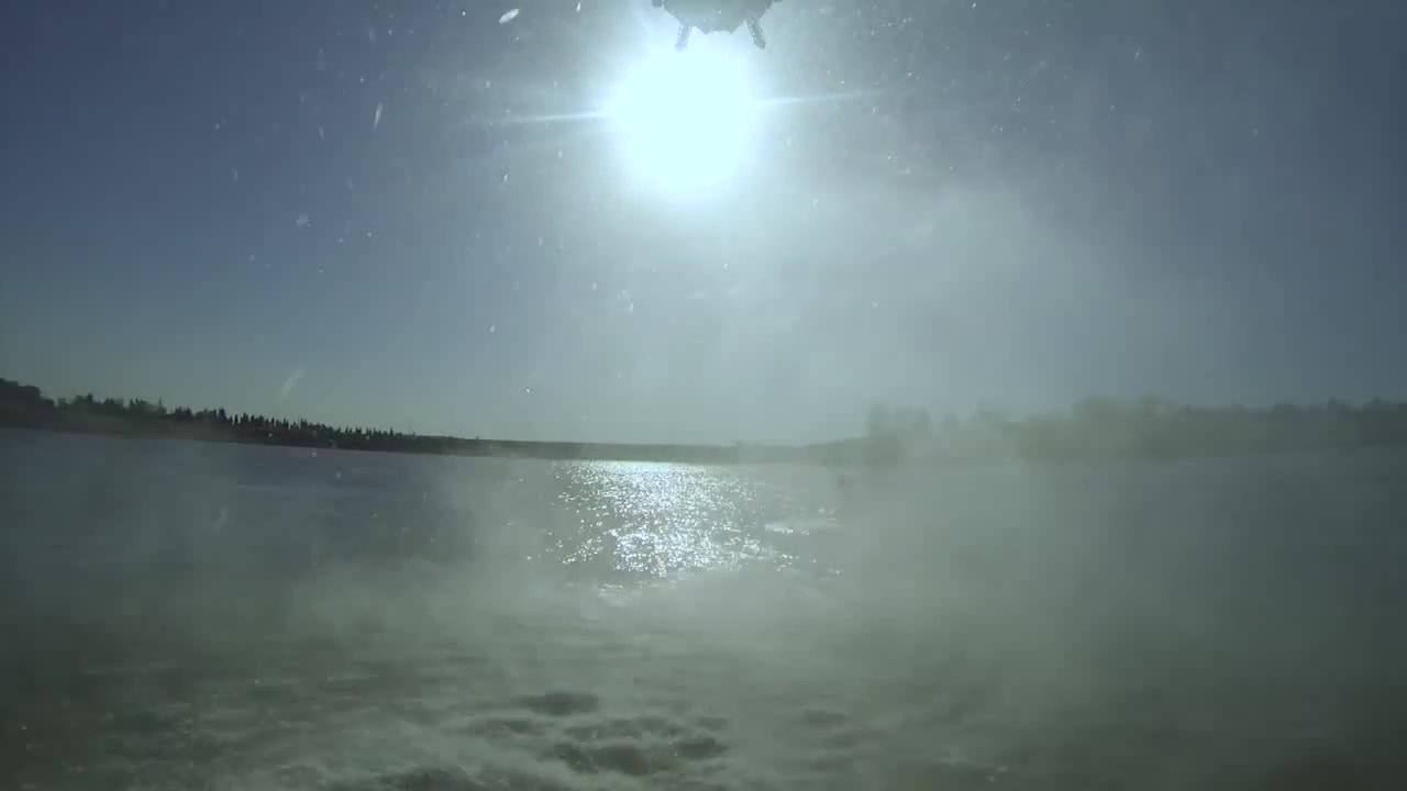 Go Get 'Em Boss! - Coub