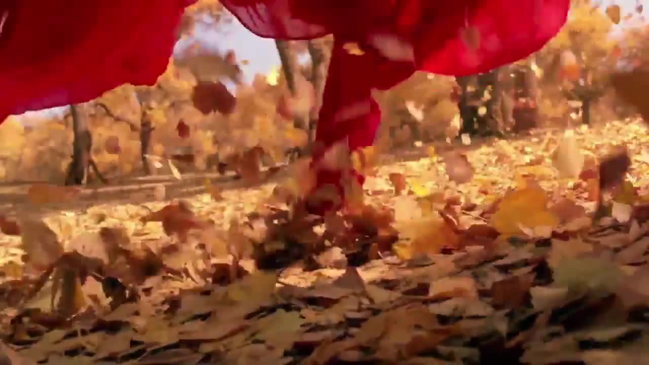 Falling leaves - Coub