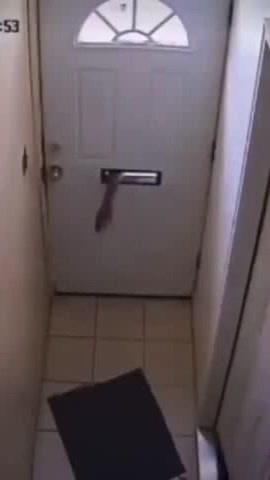 The Machete !!! - Coub