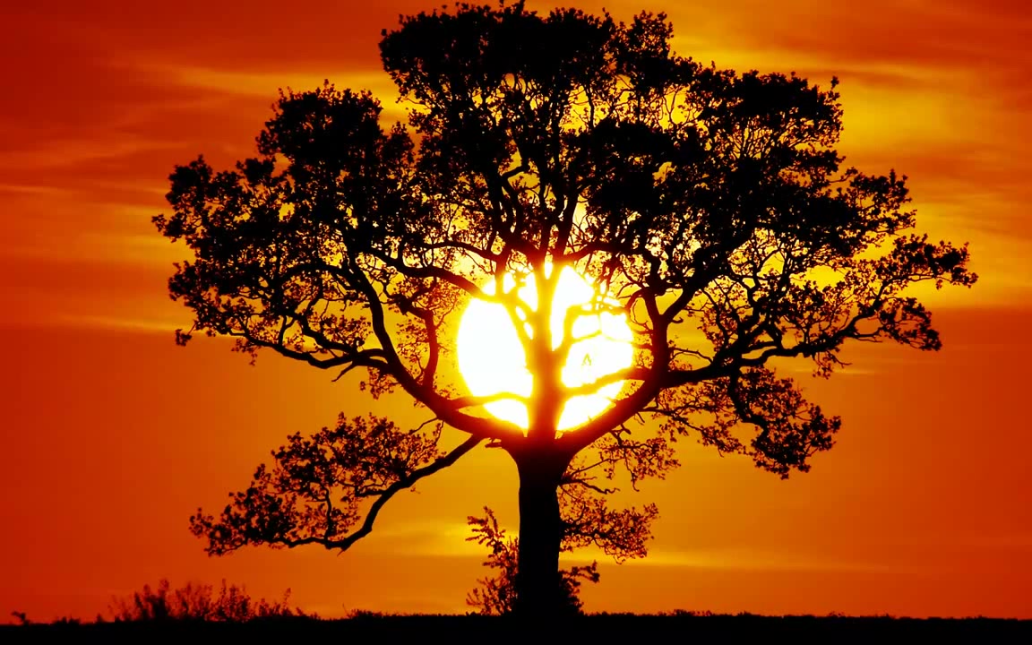 Sunset / Закат солнца (Soundgarden - Black Hole Sun) - Coub - The Biggest Video Meme Platform