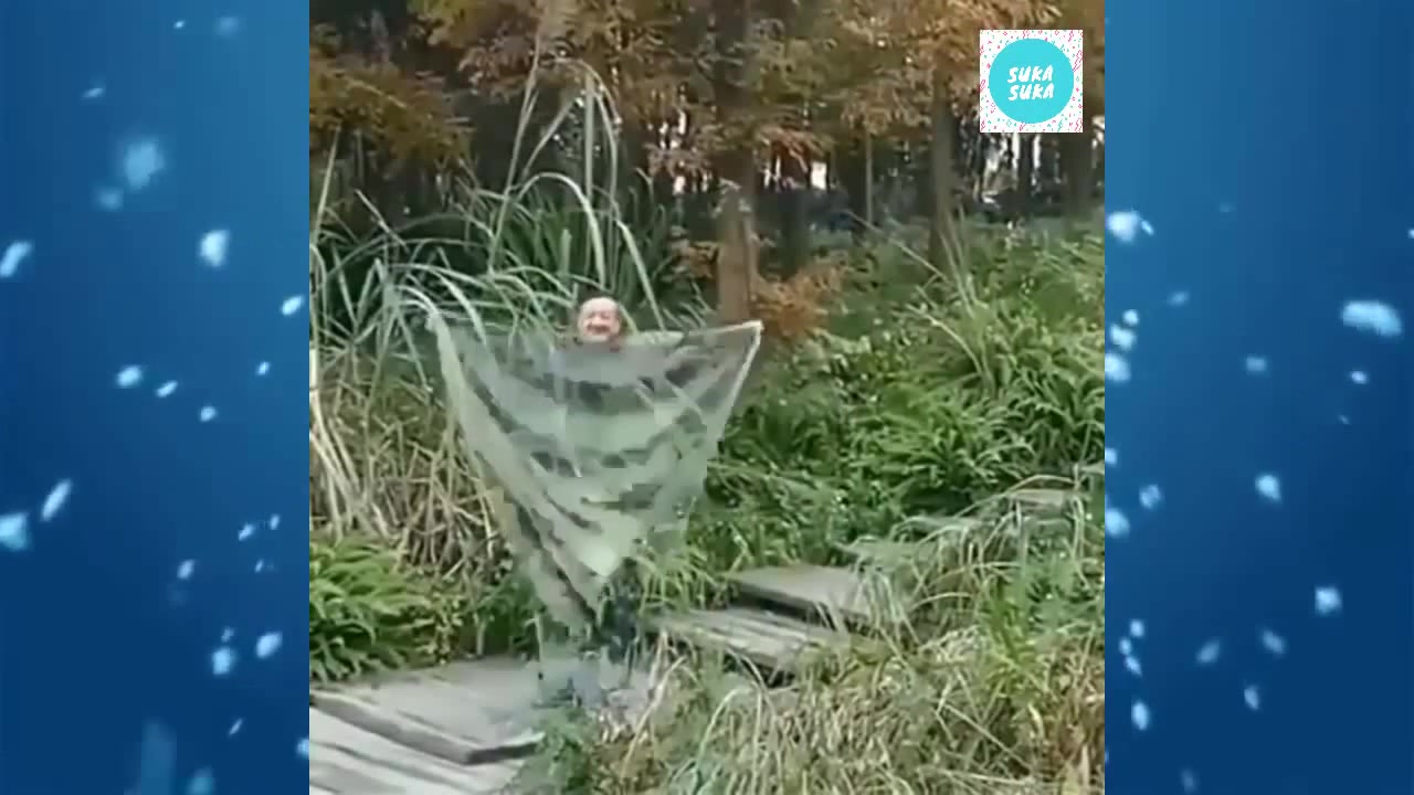 Invisibility sheet - Coub