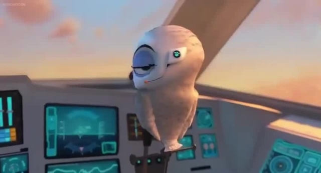 Eva the Snowy Owl - Coub