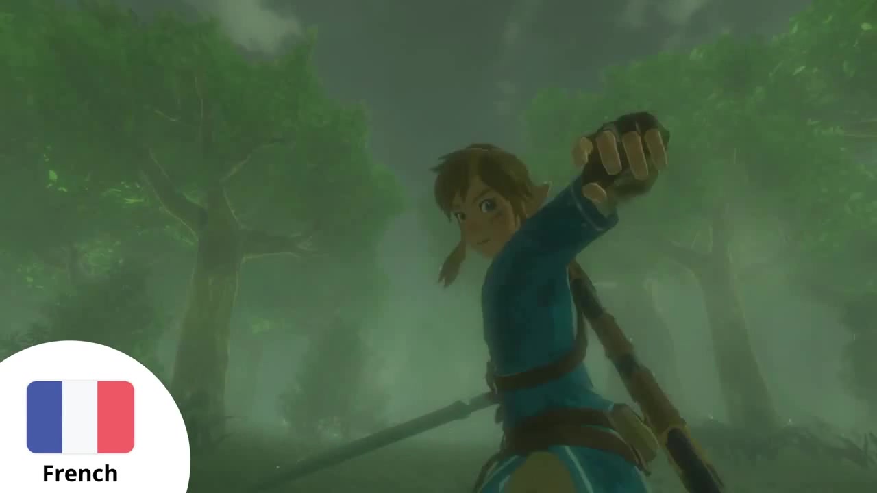 Zelda crying in 8 different languages - Zelda Breath of the Wild - Coub