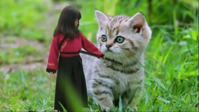 The scariest animal - Coub