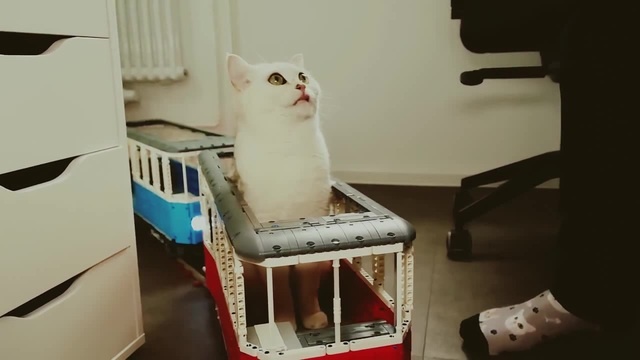 Feed me, human | Cat-Sized Lego Train - Coub