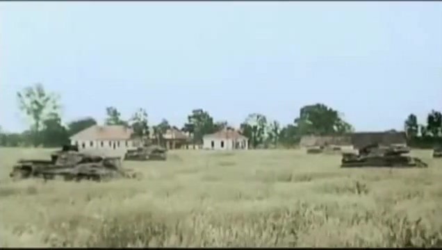 Cats flashback - Coub