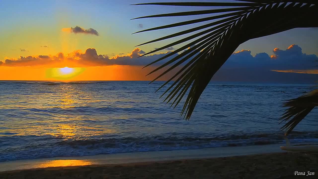 Hawaii sunset - Coub - The Biggest Video Meme Platform