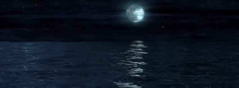 Moonlight Reprise - Coub