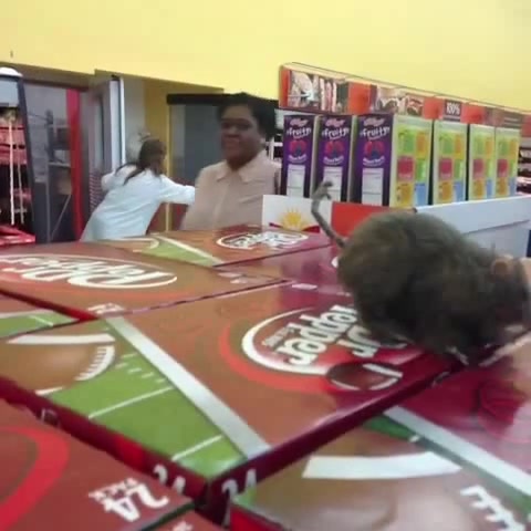 🐭RAT PRANK😂😂 FOLLOW THE BEST PRANK PAGE ON VINE! 😂 Pranks 😂 Pranks 😂 ...