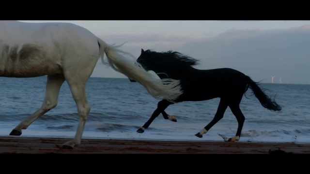 FOALS - Neptune - Coub - The Biggest Video Meme Platform