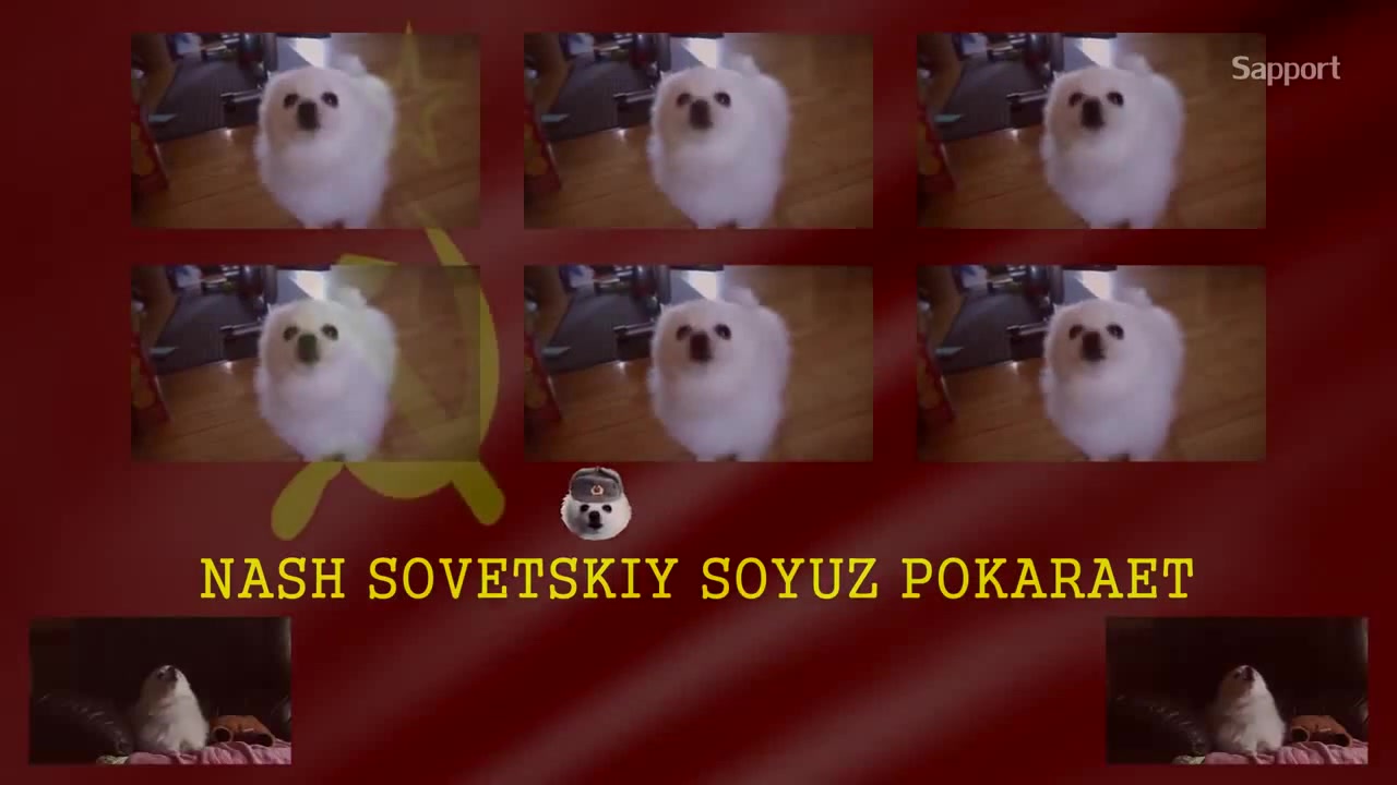Gabe the Dog - Soviet Barks (C&C: Red Alert) - Coub - The Biggest Video ...