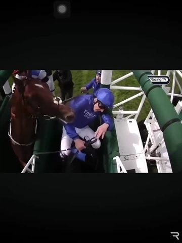 Horse wins race without rider ️ 🐴😱 - Coub