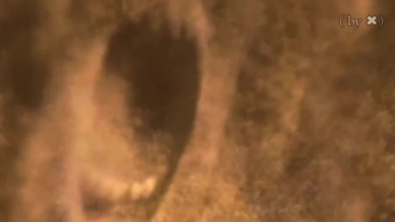 The Mummy vs Captain Jack Sparrow ( by ) #sandstorm - Coub