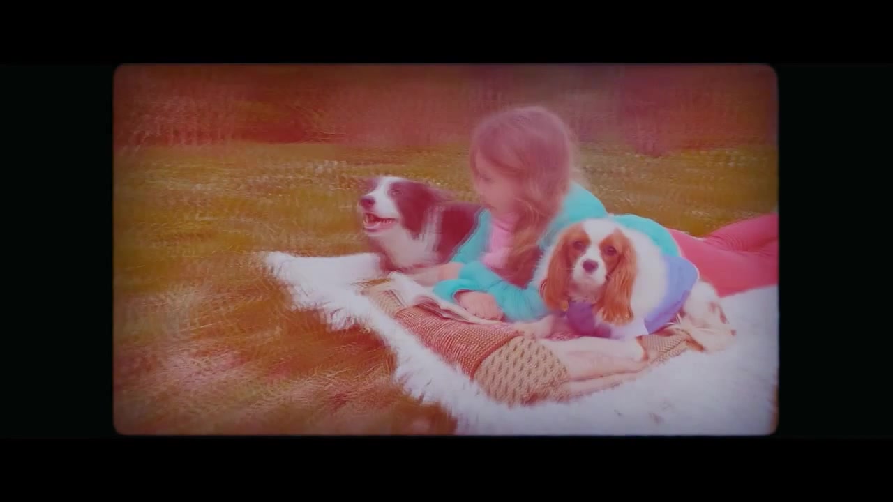 DOGCORE #елкилохматые - Coub