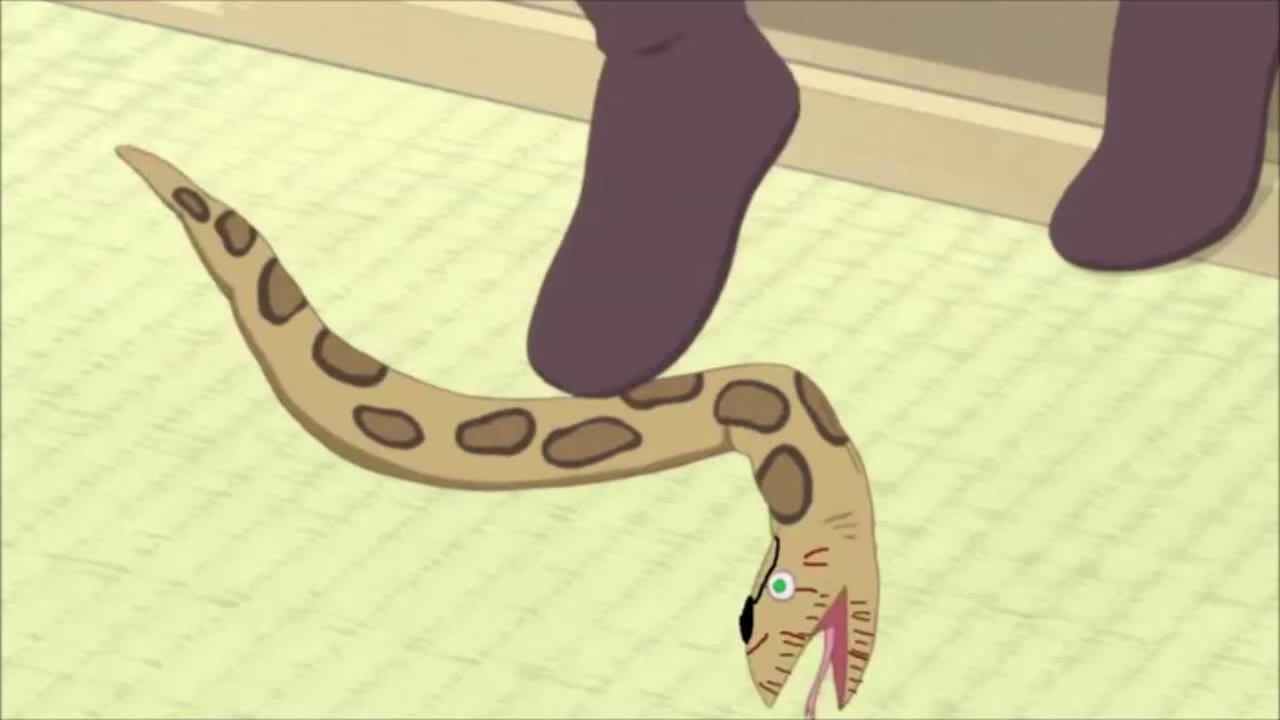 Snake SNAKE SNAAAAAAAKE - Coub - The Biggest Video Meme Platform