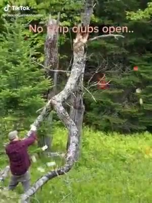 When Stripclubs Are Closed - Coub - The Biggest Video Meme Platform