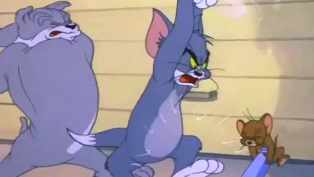 Aggression - Coub - The Biggest Video Meme Platform