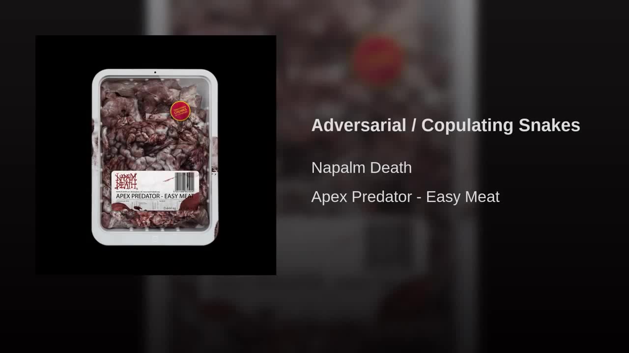 Adversarial / Copulating Snakes - Coub