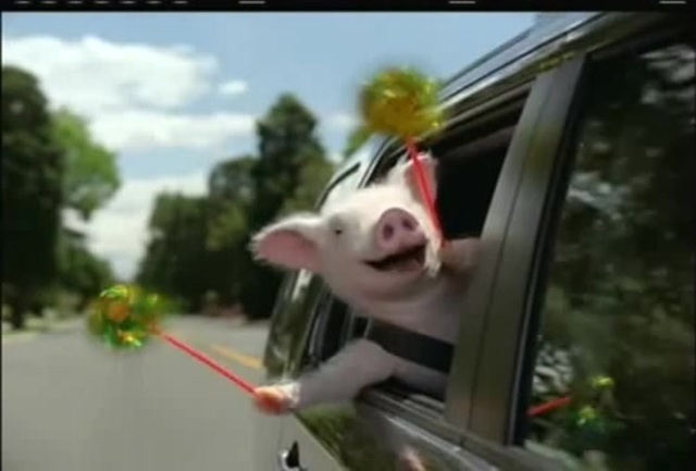 Geico Commercial Three Little Pigs - Wee Weee Weeee - Coub