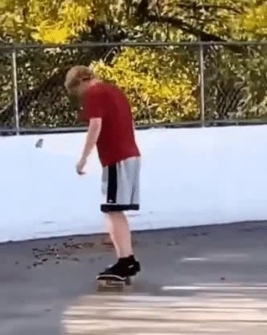 board trick - Coub