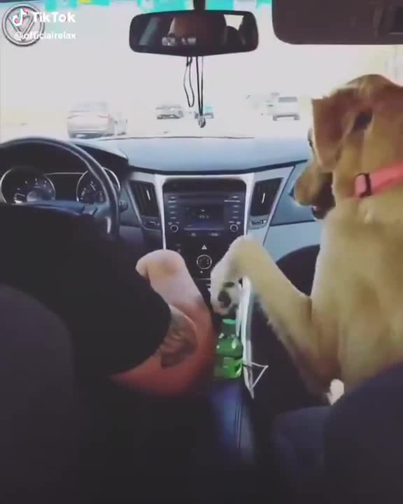 Sweet Harmony - Coub