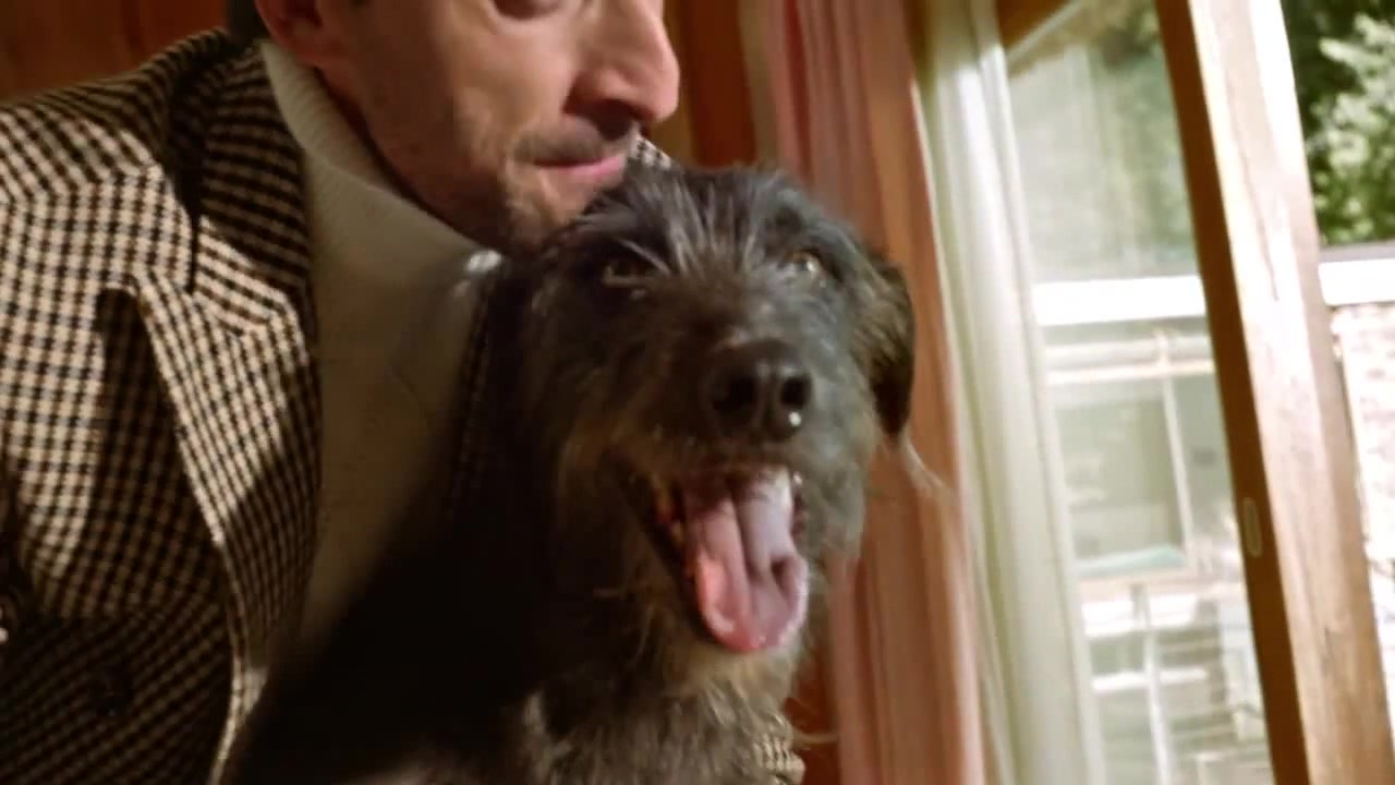 Adrien Brody Vacation - Coub - The Biggest Video Meme Platform