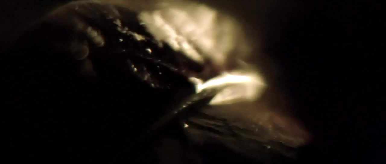 mesonoxian vox - Coub