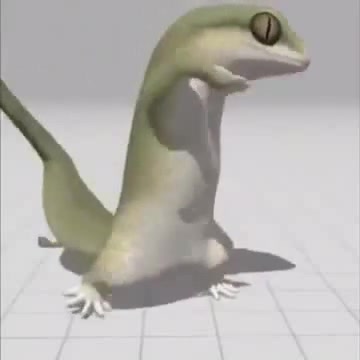 Dancing lizard - Coub